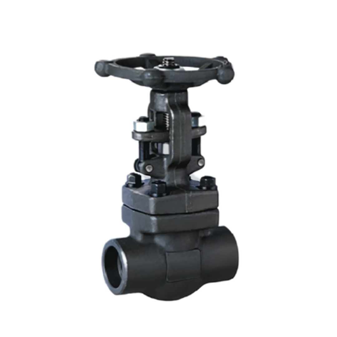 Gate Valve Forged Body - Global Flow Control